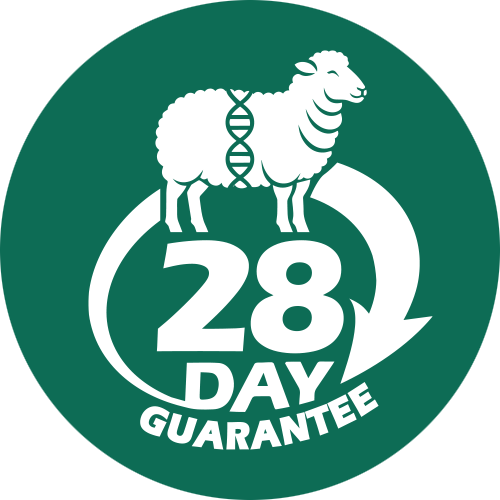 307 Temporary Redirect